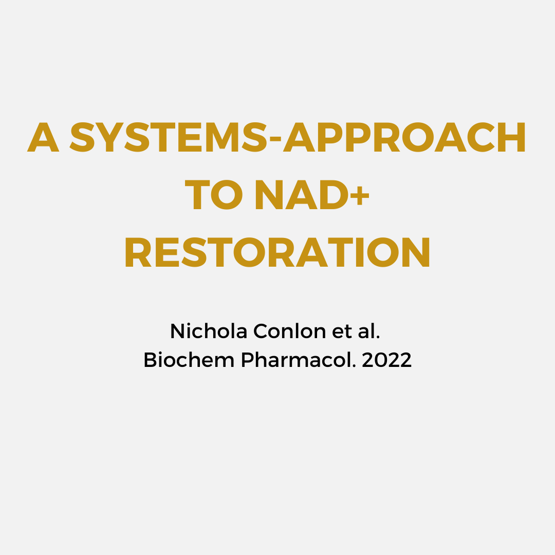 A Systems Approach To NAD+ Restoration – Nuchido US