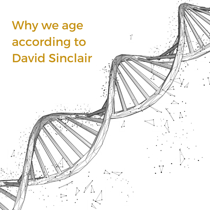 Why we age according to David Sinclair – Nuchido US