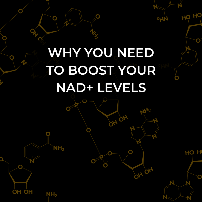 Why you need to boost your NAD+ levels – Nuchido US