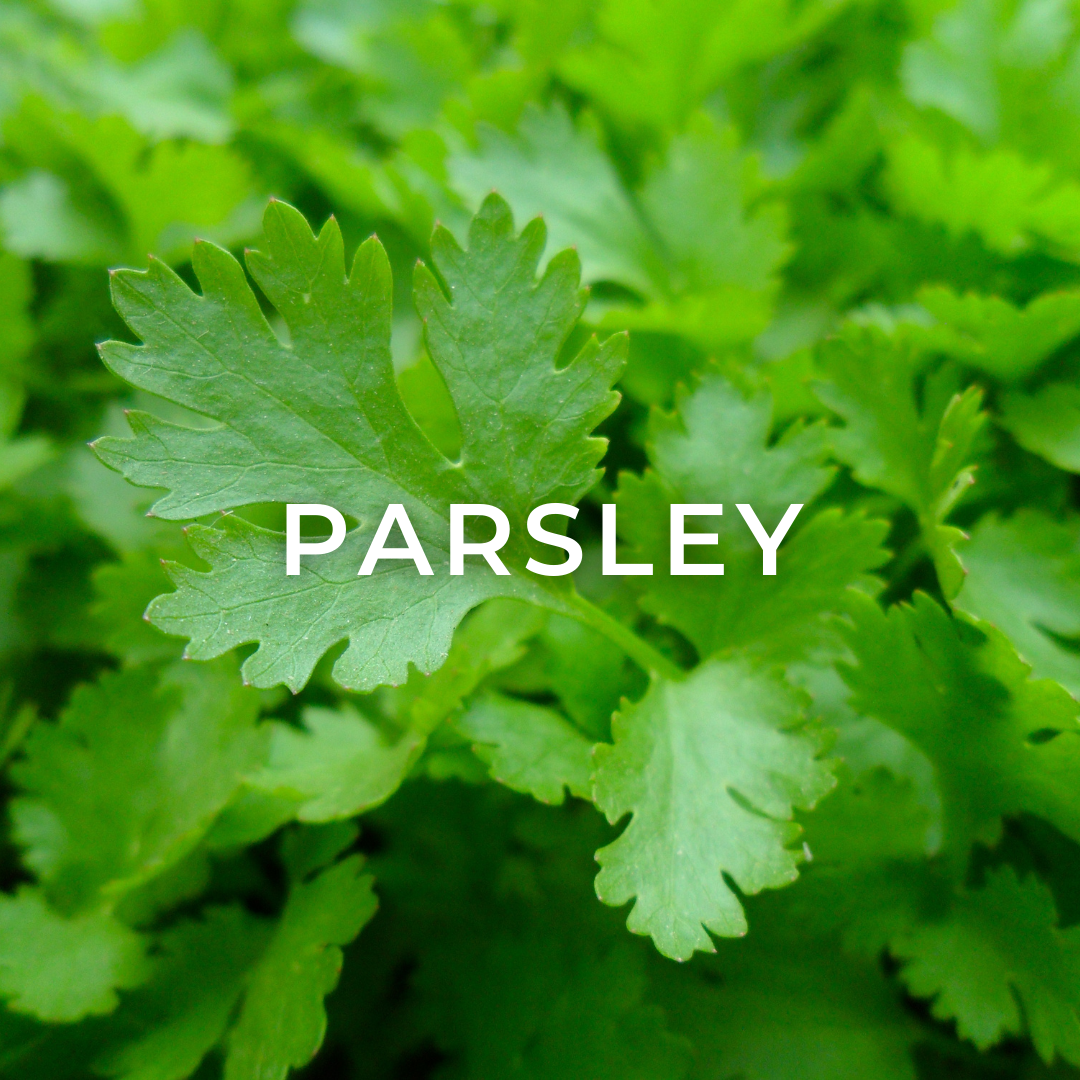 In The Mix – Nuchido US