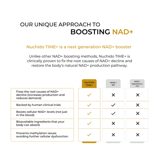 Nuchido TIME+ – Nuchido US