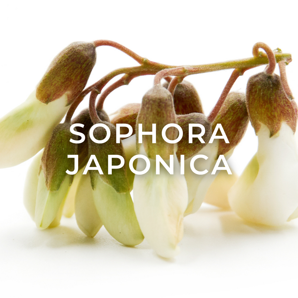 In The Mix – Nuchido US